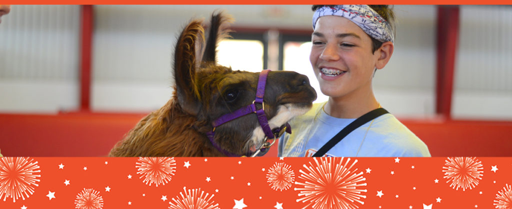 Our Impact - Victory Junction